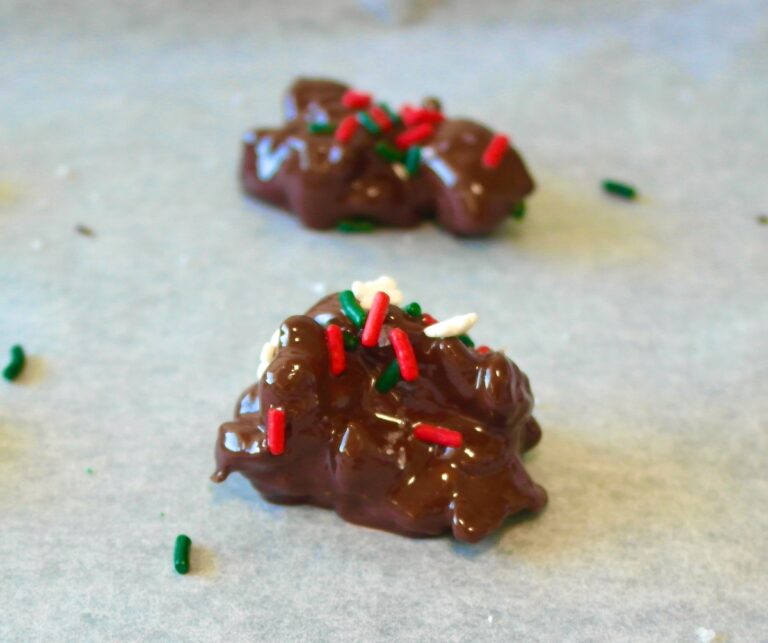 Easy Dark Chocolate Fruit and Nut Clusters - OliveTomato.com
