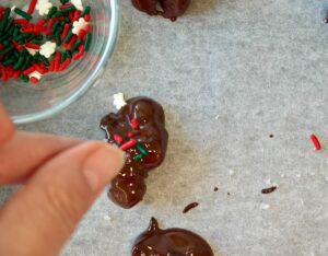 Easy Dark Chocolate Fruit and Nut Clusters - OliveTomato.com