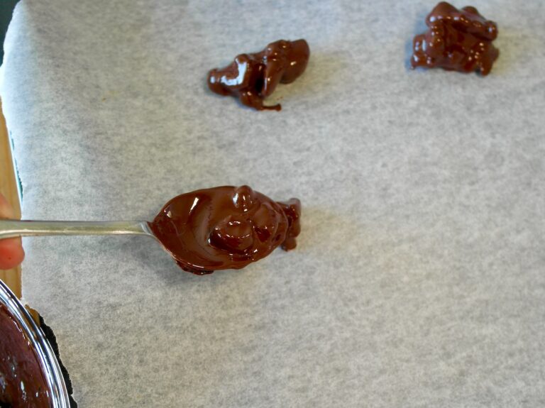 Easy Dark Chocolate Fruit and Nut Clusters - OliveTomato.com